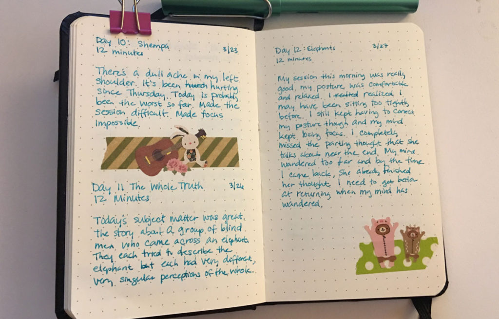 Meditation Journal Tips and How to Maintain Your Own Meditation Practice